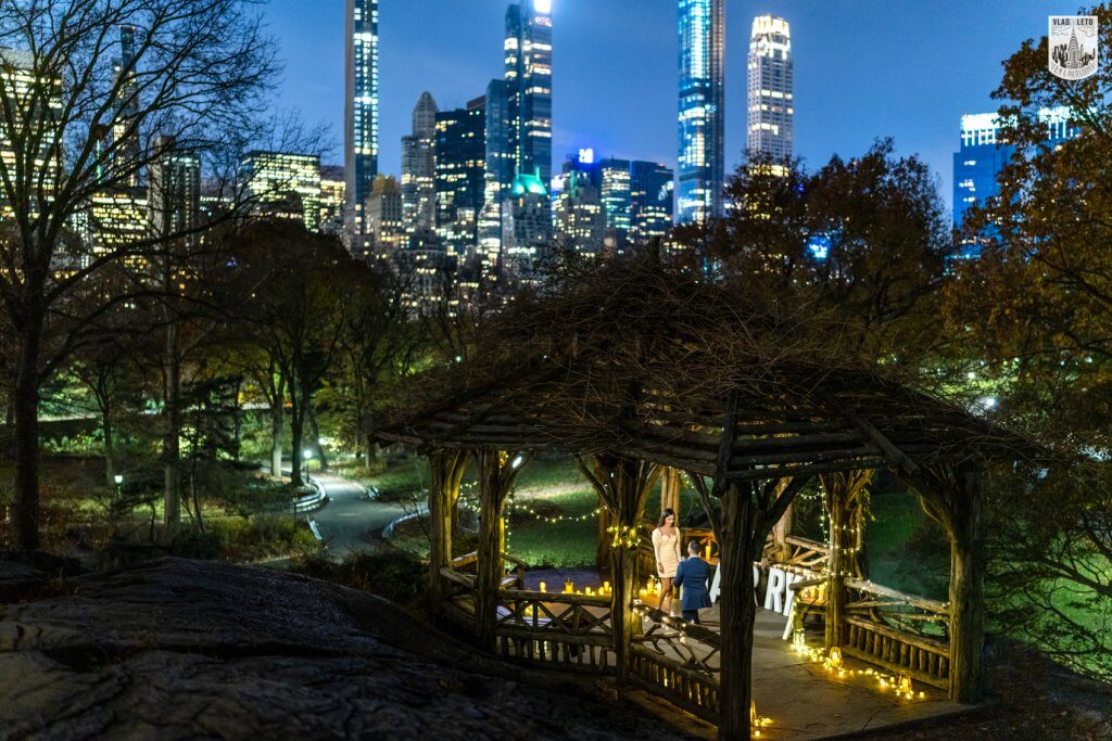 The story of creating "Premium light the night" Proposal Design. | VladLeto