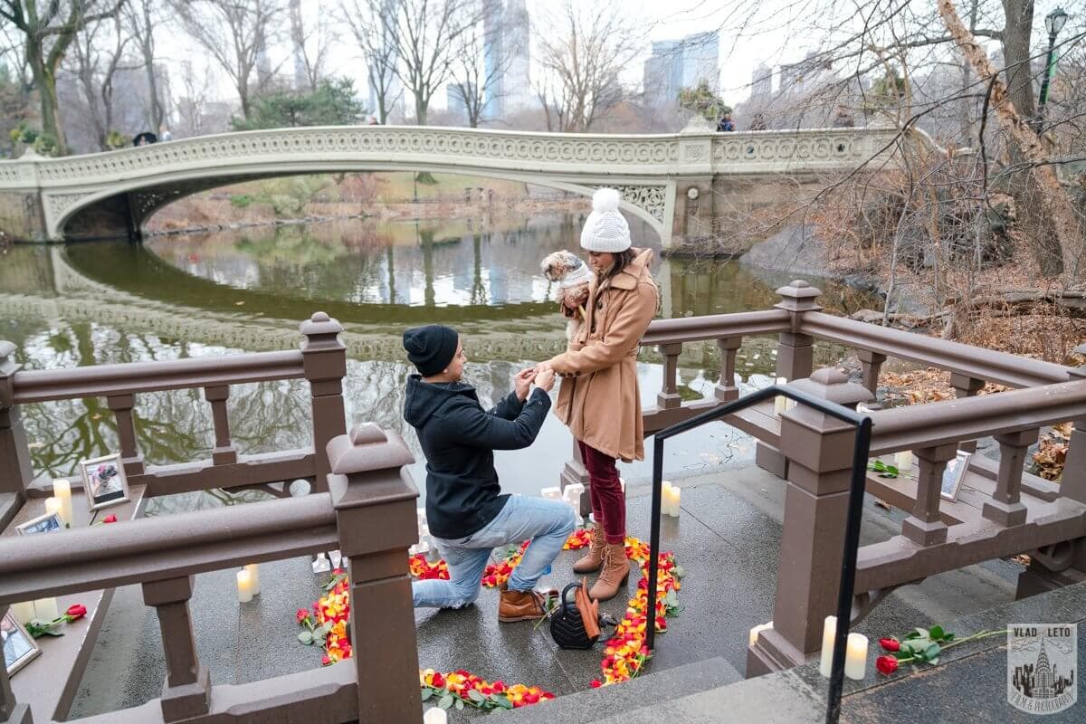 Central Park Marriage Proposal by Bow Bridge. | VladLeto