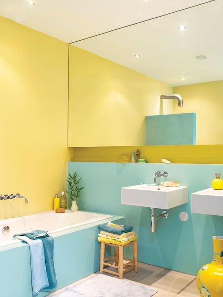 COLORES : AZUL Y AMARILLO. Colores complementarios. - Mímesis