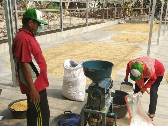 Cerita Kelompok Tani Boga Lestari Untuk Lawan Tengkulak | Pak Tani Digital