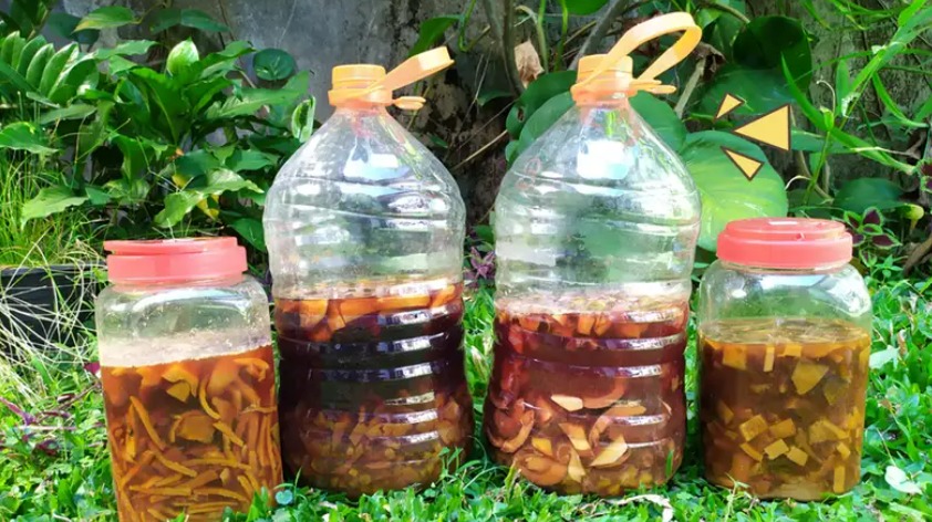 Mengenal Eco Enzyme dan Cara Membuatnya | Pak Tani Digital