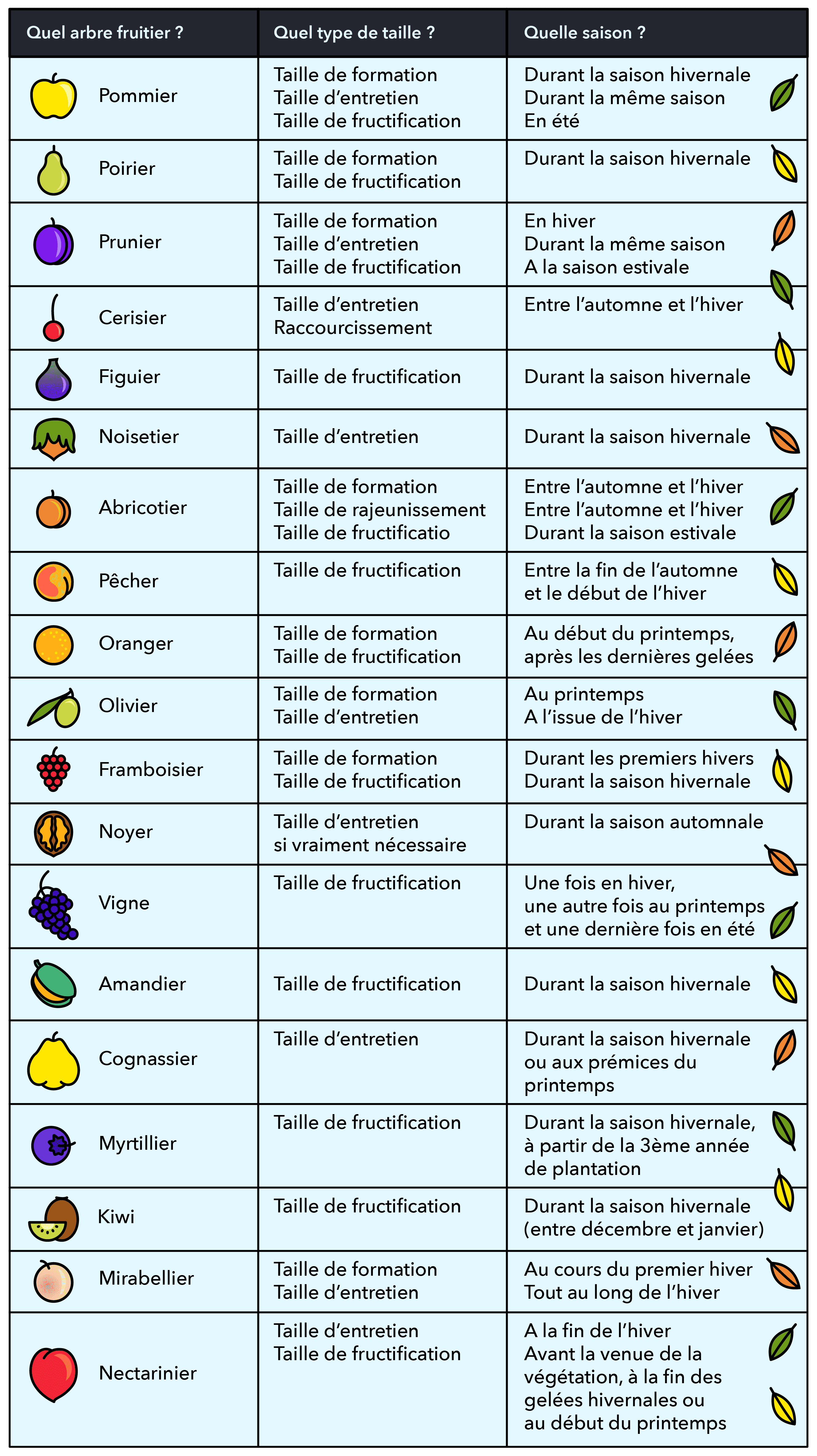 Pourquoi et comment faire la taille d'un arbre fruitier (pommier ...