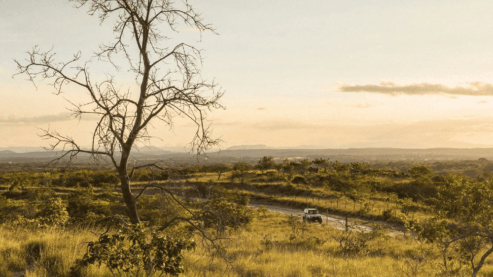 Bagaces Costa Rica - Guide From an Ex Gringo Resident - AllWorld.com