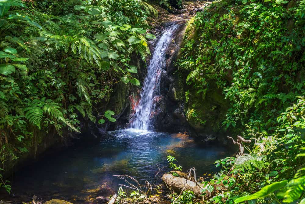 30 Best Things To Do In Monteverde, Costa Rica - AllWorld.com