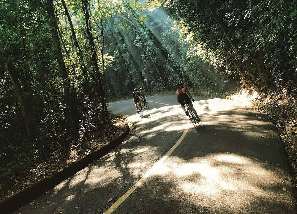 Ciclopalavras: Taxonomia da Bica - Bikeblz