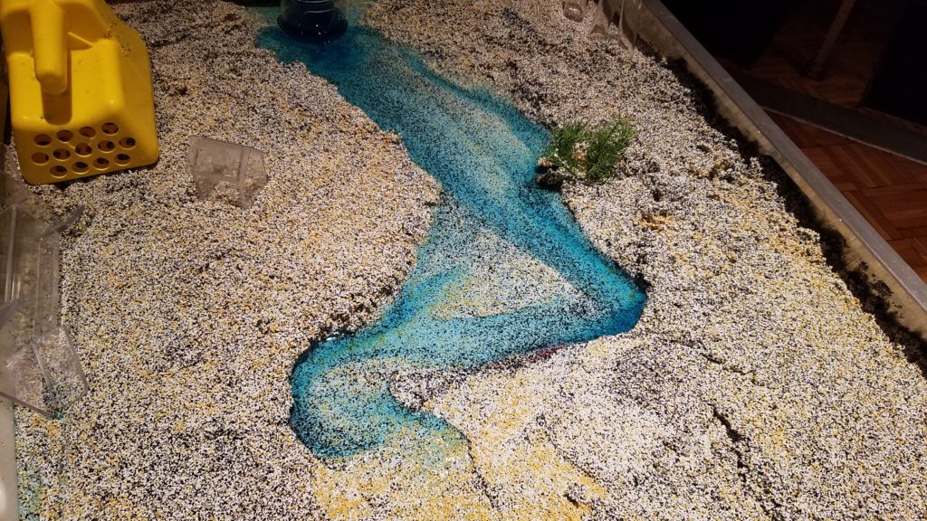 Science in the South at SIU | Emriver stream tables