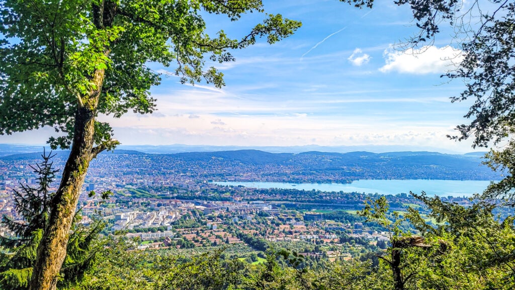 Natural and cultural highlights in Zürich - In the worlds jungle