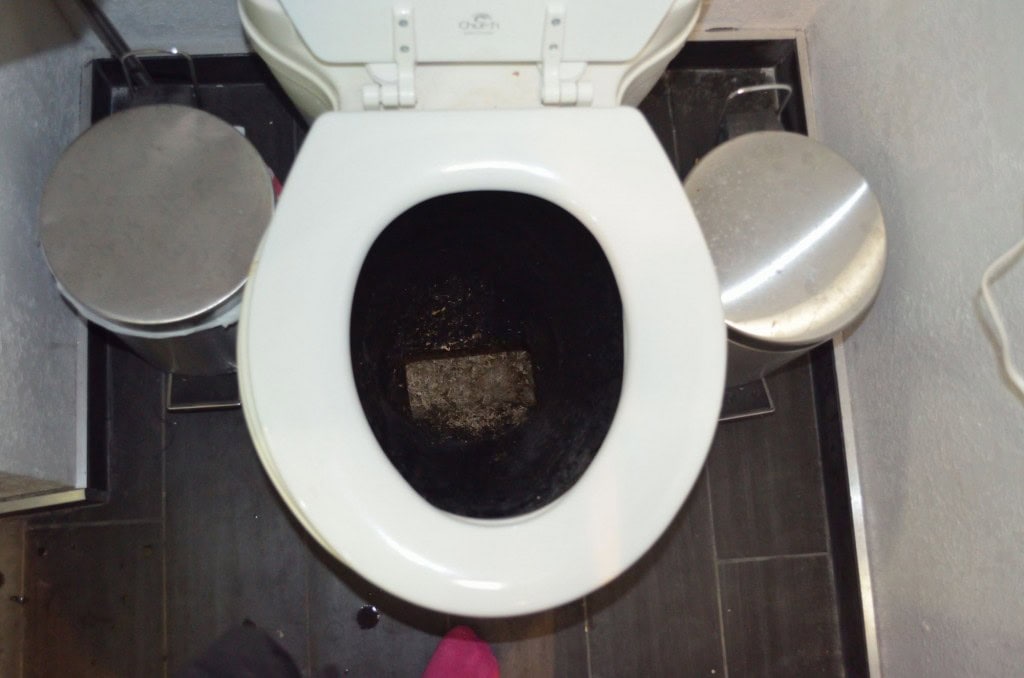 How My Composting Toilet ACTUALLY Works - A Review - MiniMotives