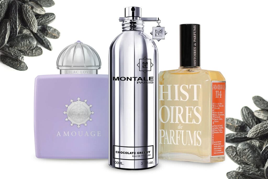 Tonka Bean: A Perfume & Cologne Fragrance Note to Know