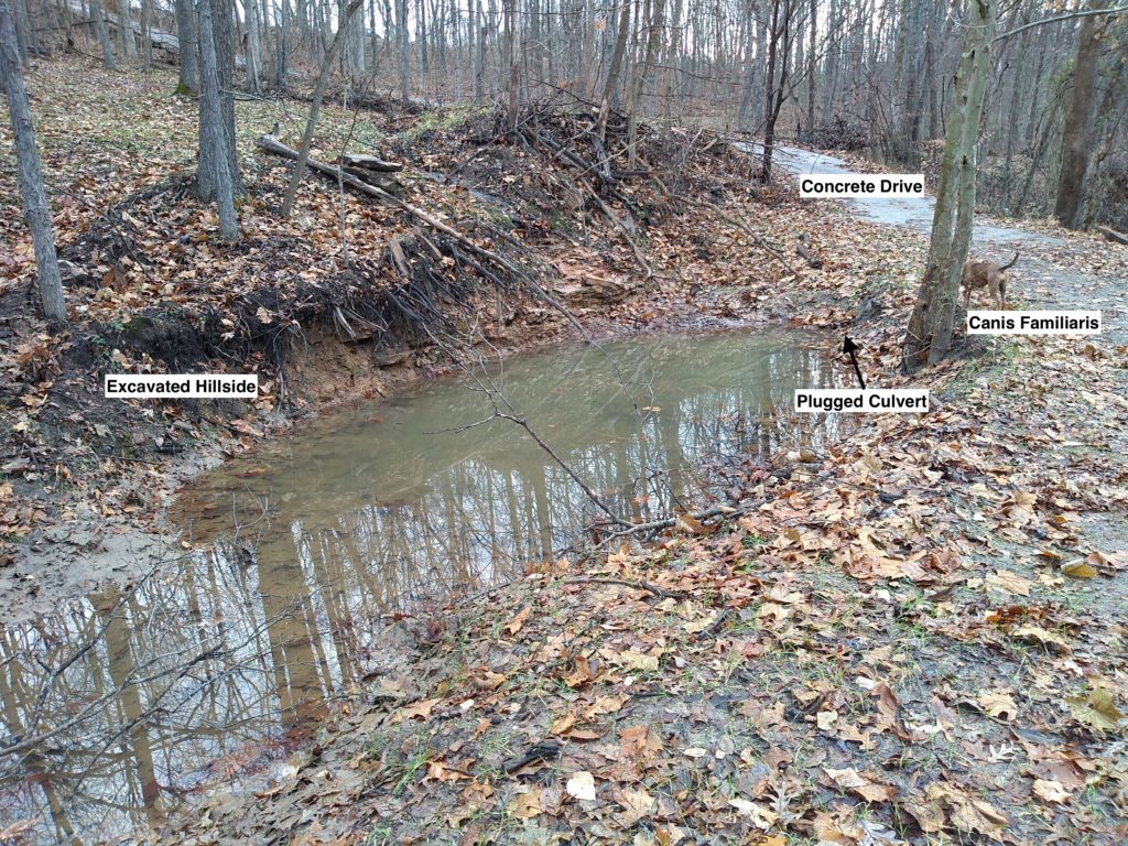 Forced Groundwater Sapping On A Hiking Trail