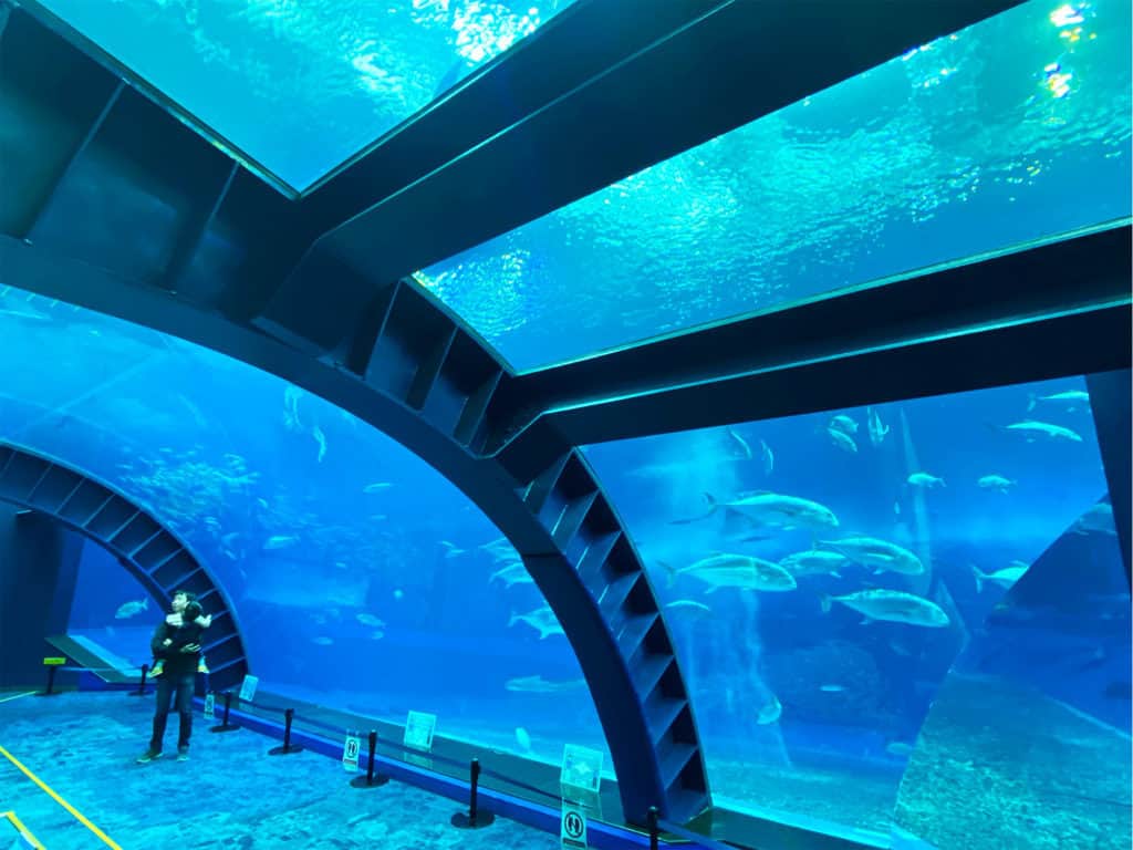 Churaumi Aquarium - Obsessed with Japan