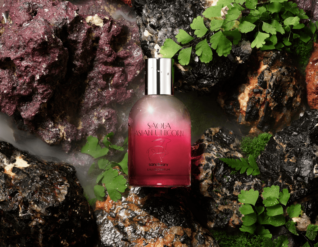 New On Scentbird: Two Clean Sanctuary Fragrances To Love