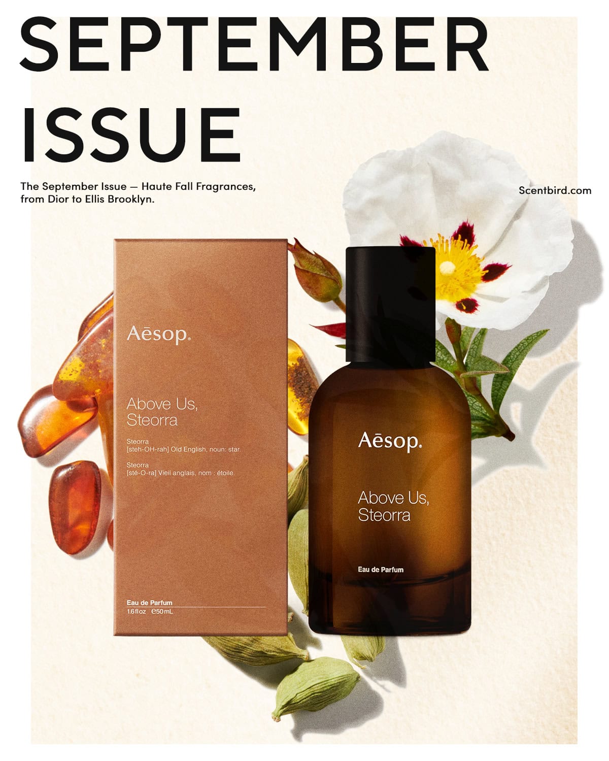 Best Unisex Perfumes That Smell Luxurious But Aren’t Too Expensive ...