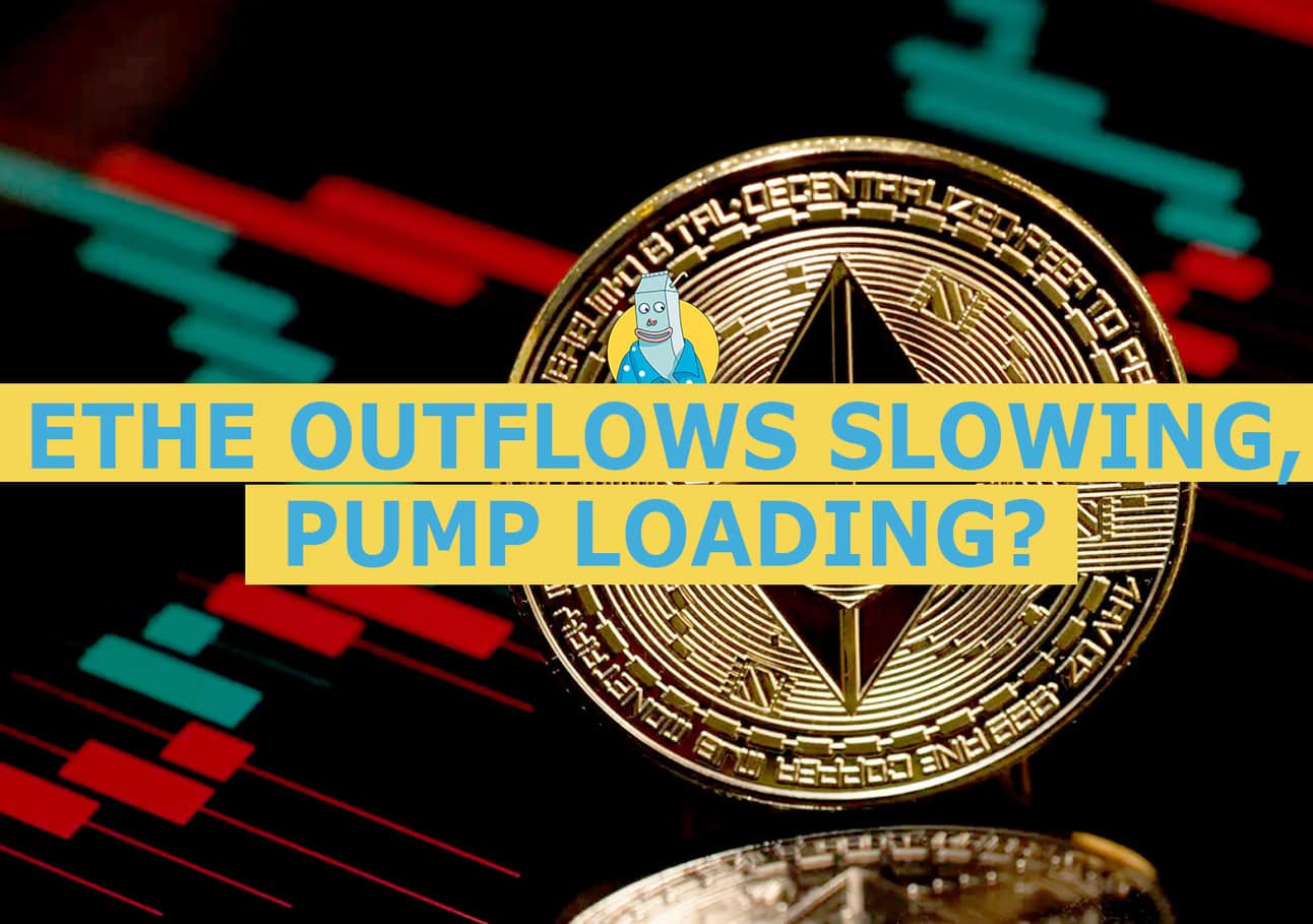 Milk Road Newsletter: Past Editions of the #1 Crypto Newsletter