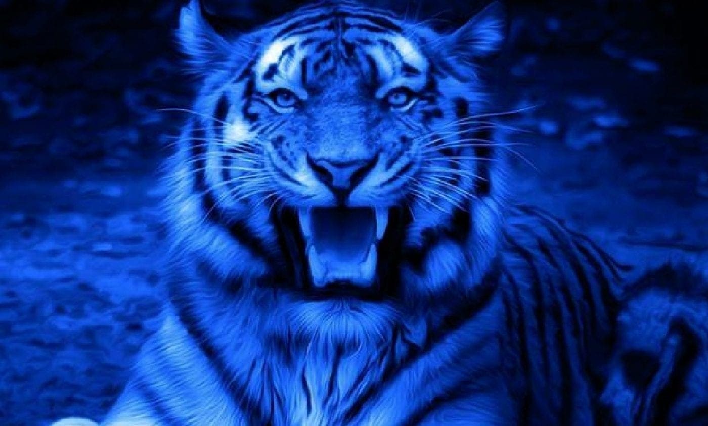 Blue Tiger Visual at Patron Hunt — Find Your Next Favorite Indie Creator