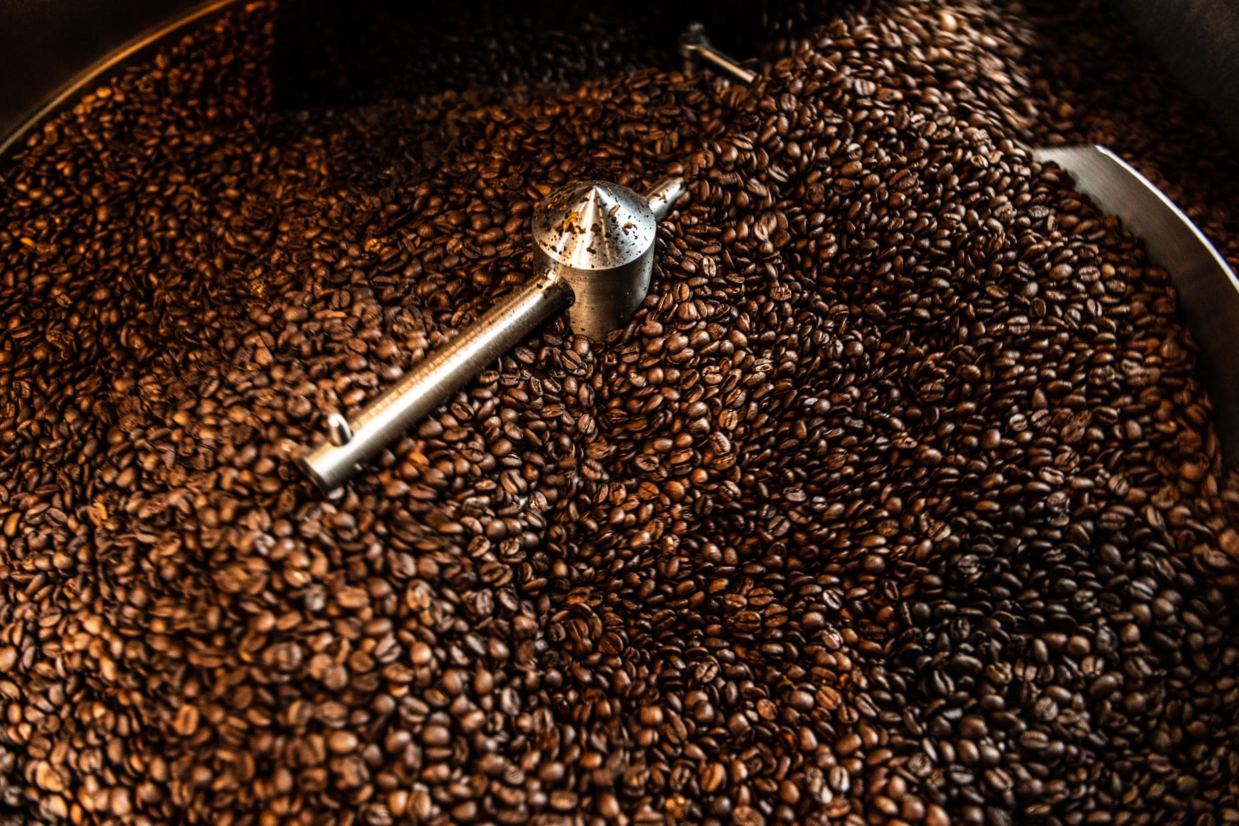 alli torres bartender