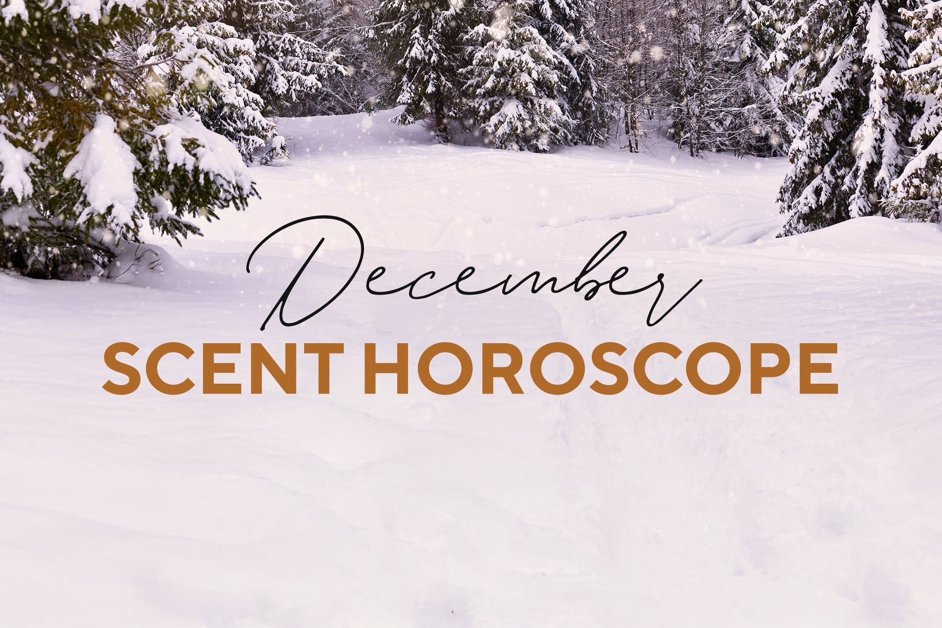 Scent overload: how to get rid of perfume smells