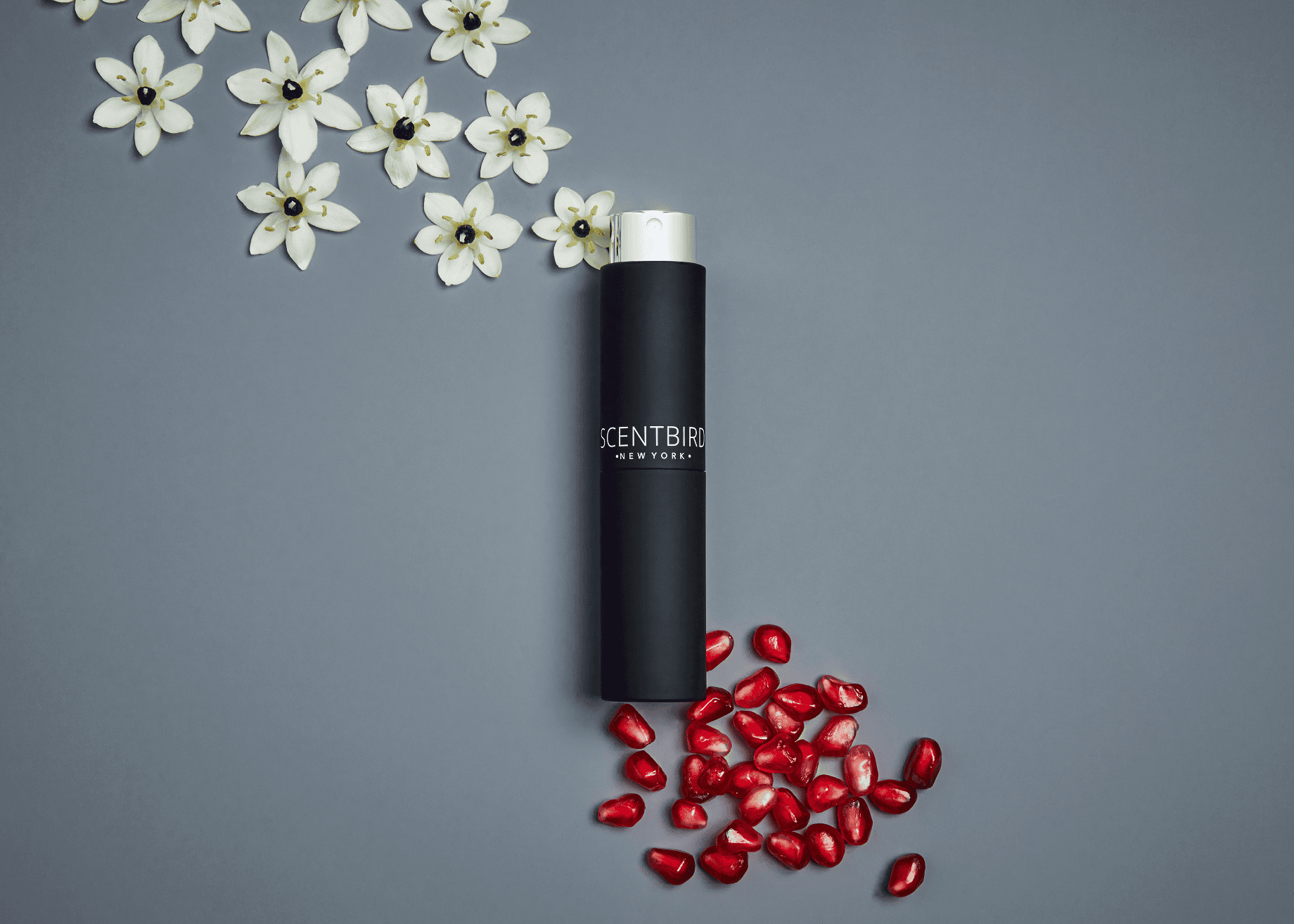 Where to Find a List of Top-Rated Perfumes | Scentbird