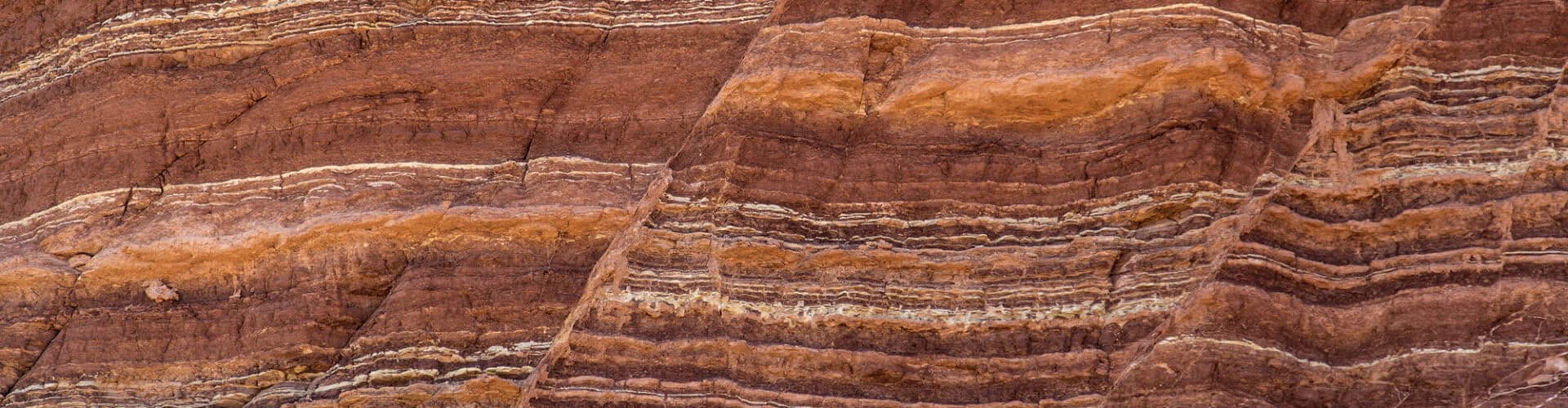 Analysis | LAMP Development