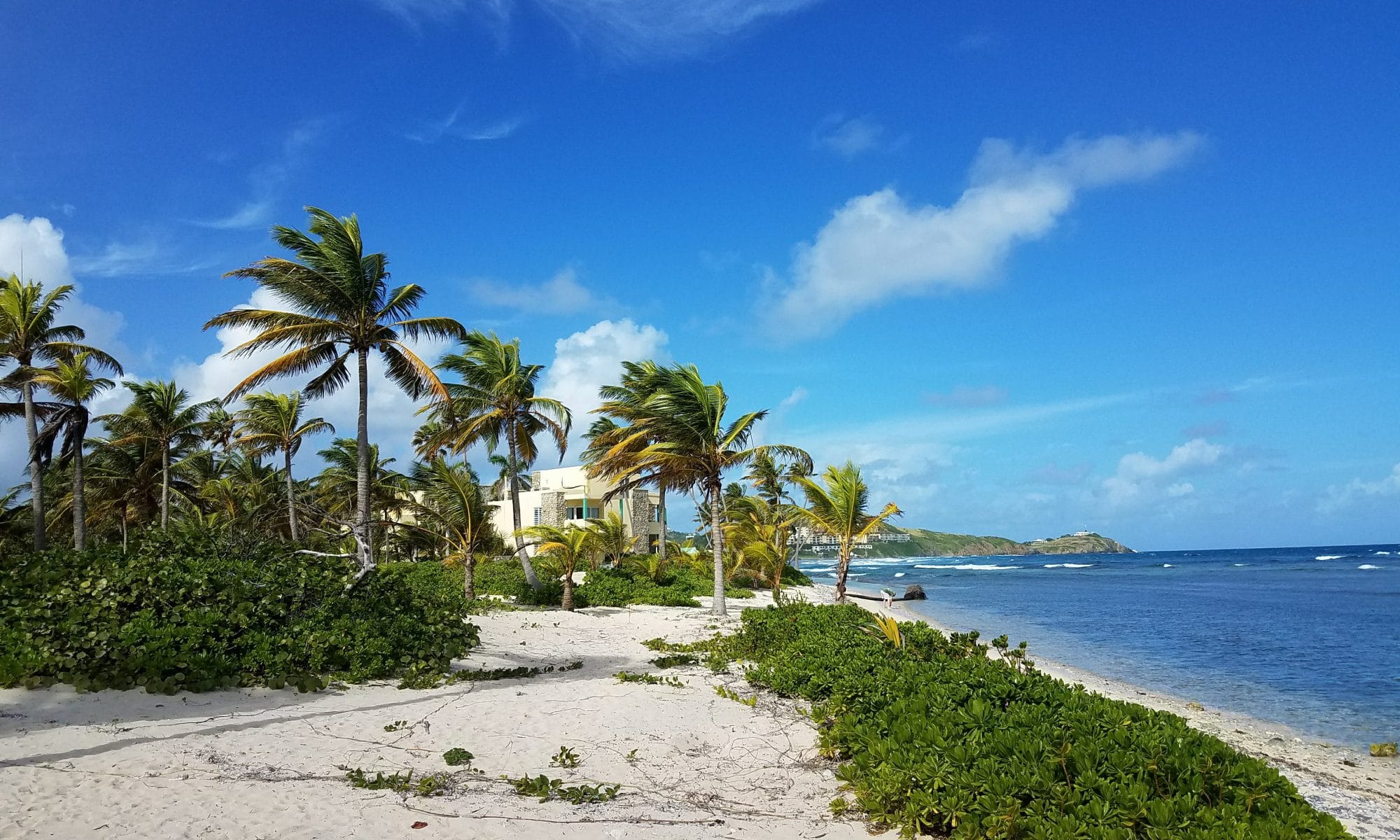 What to do in St. Croix | Dolphin's Paradise at Pelican Cove