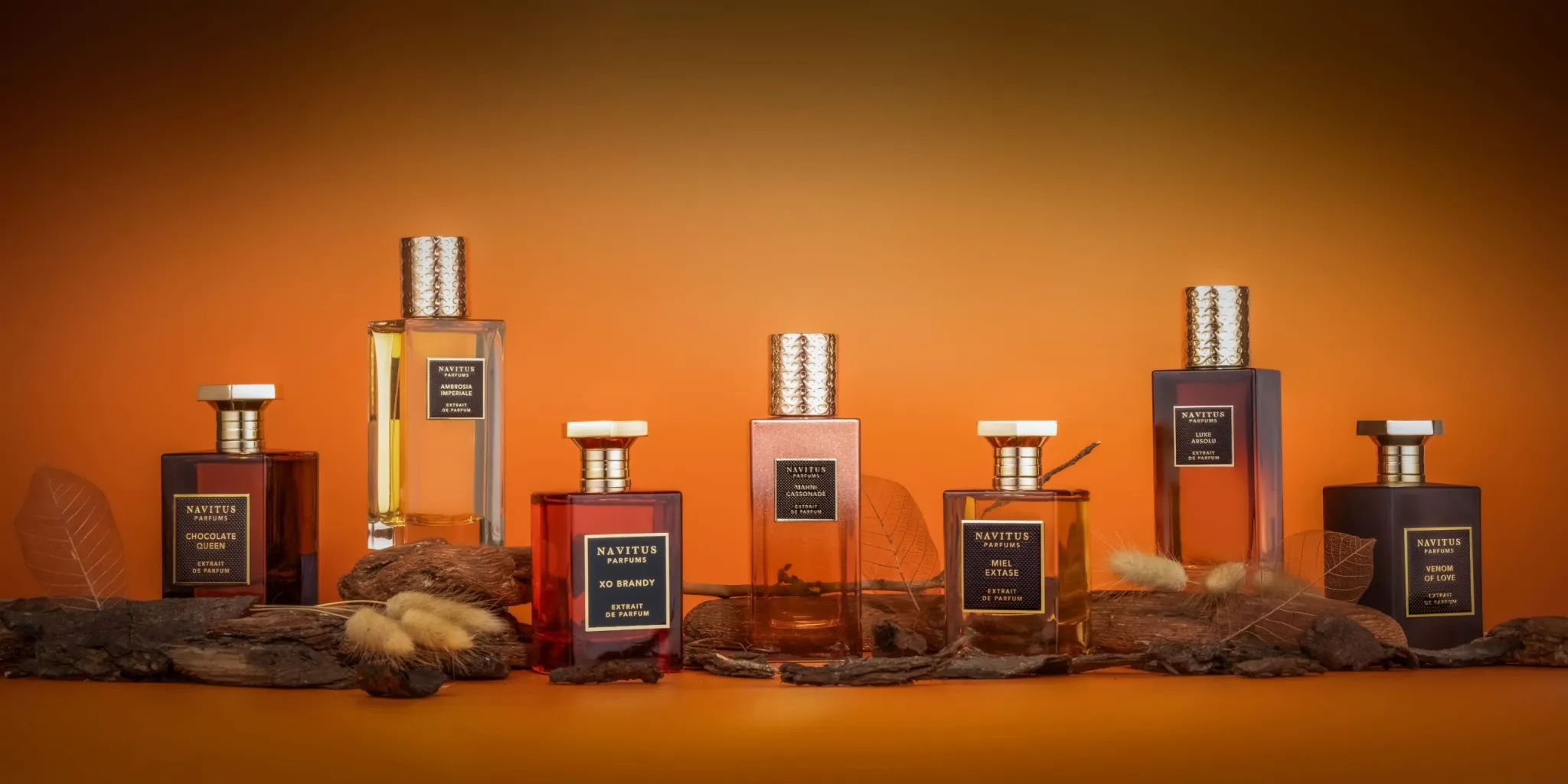 Versace Logo Meaning: Medusa Symbol Explained