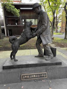 100 anni di Hachiko: il Giappone celebra l’amato cane akita famoso in ...