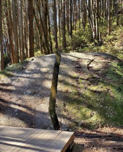 Demon Slayer: guida alle location di Kimetsu no Yaiba in Giappone ...