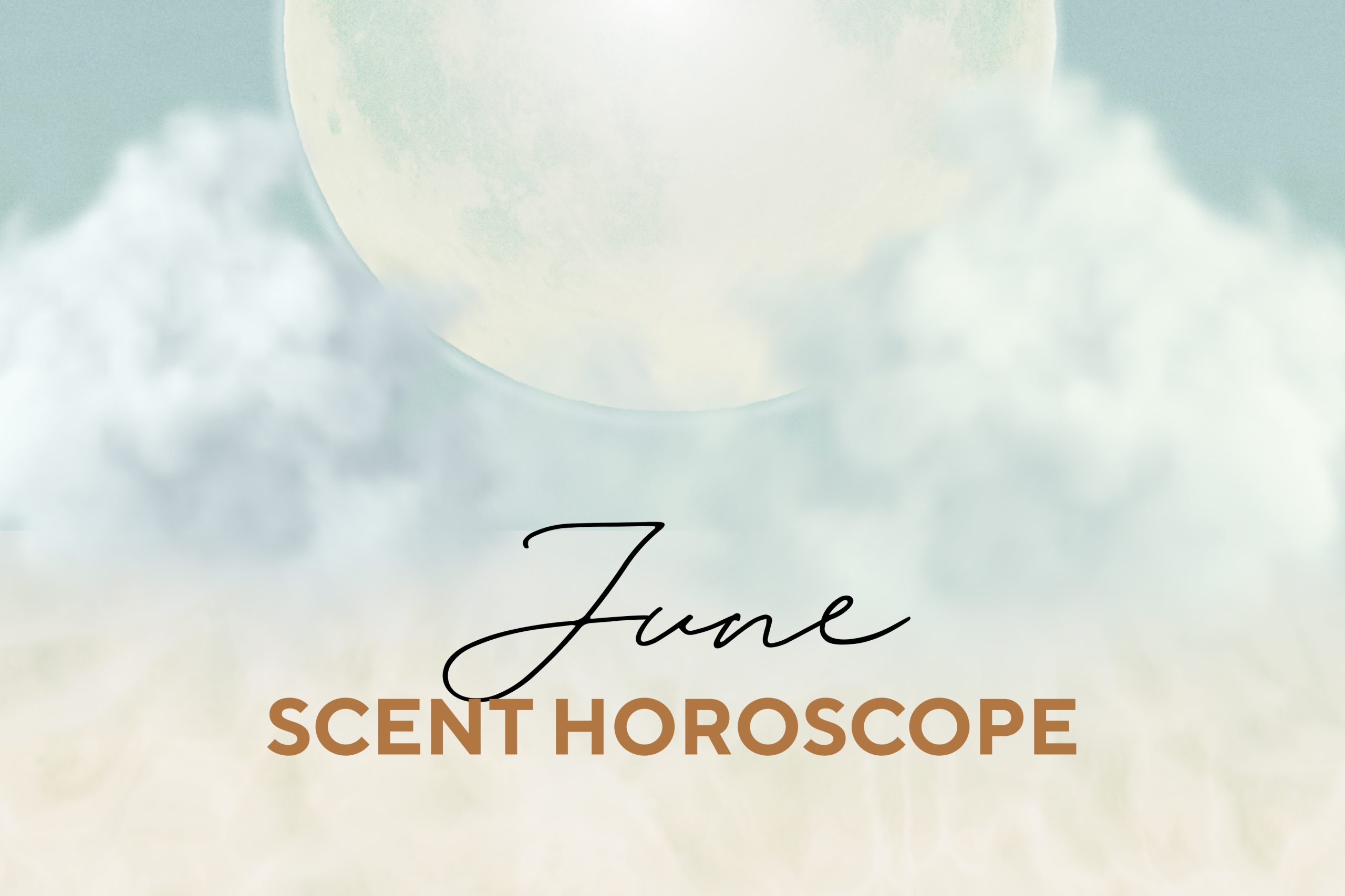 Home page - Scentbird Blog