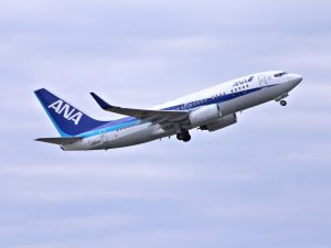 Volo diretto Milano Malpensa Tokyo Haneda 2025 ANA: tutte le ...