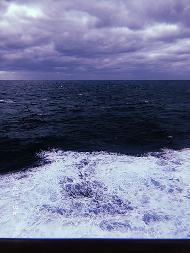 Riss Flex at Patron Hunt — Find Your Next Favorite Indie Creator