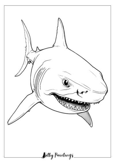 28 Shark Coloring Pages - 28 Free Printable Images