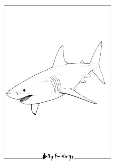realistic whale shark coloring page