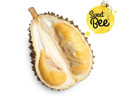 Hydroponically Grown – Dizon Farms Delivers