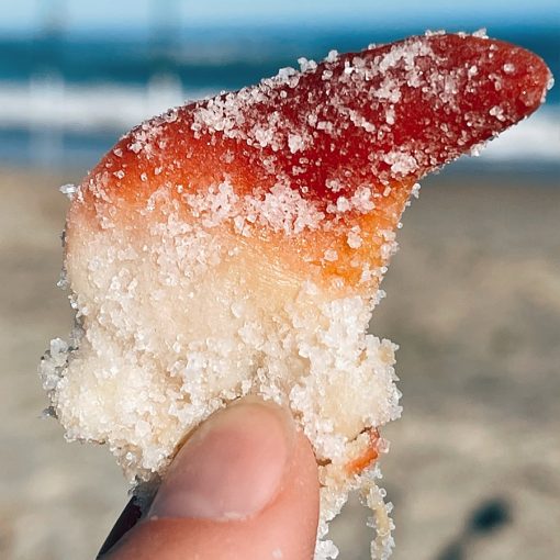 Clammy Bits Salted Clam Bait | Hey Skipper