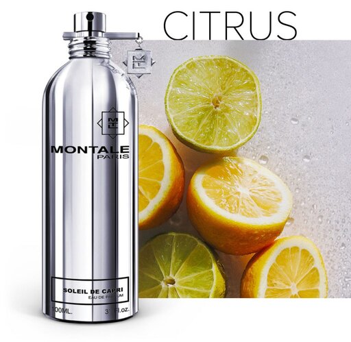 4 Fragrance Notes: Gives Your Productivity a Boost - Scentbird