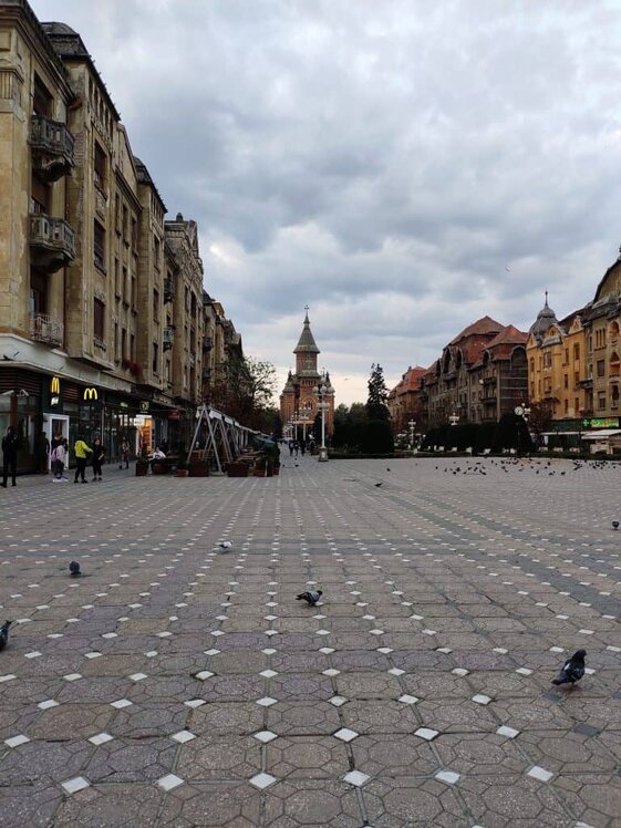 24 hours in Timisoara | How to make the best of your time in the city