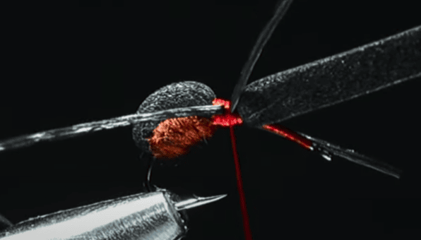 Fat Angie - Fly of the Month - Hastings Fly Fishers