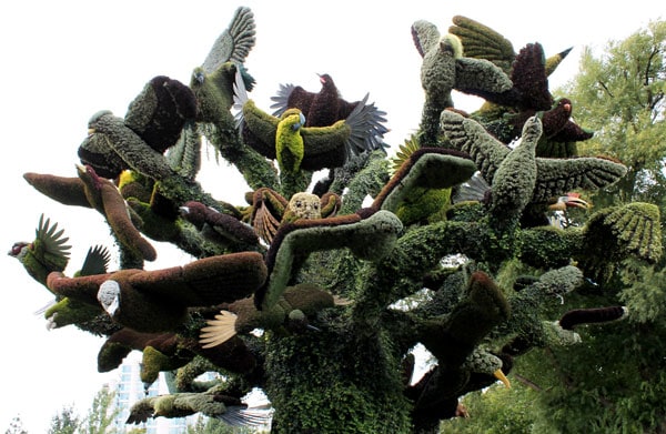 Mosaiculture 2018 – Animaplates