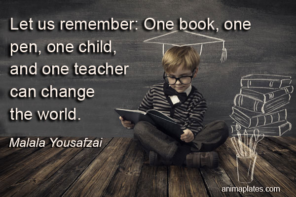 One book, one pen… – Animaplates
