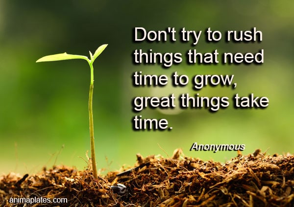 Don’t try to rush… – Animaplates