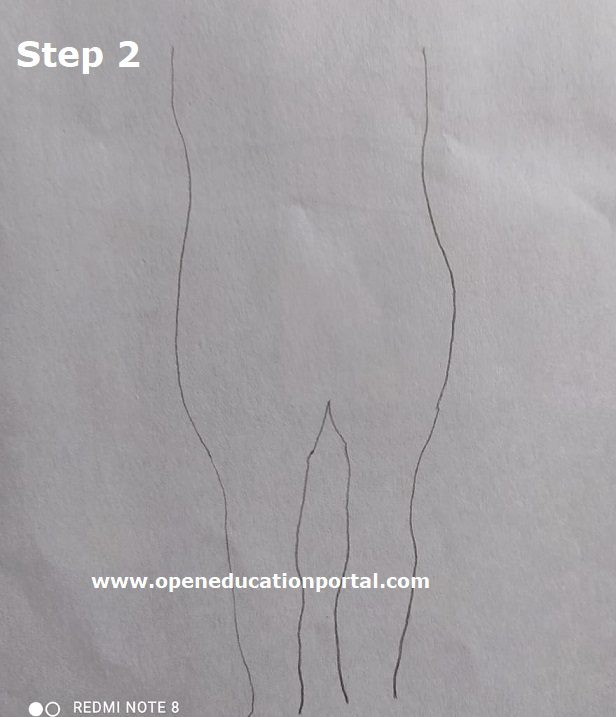 How To Draw Nervous System | Step-by-step Easy Guide