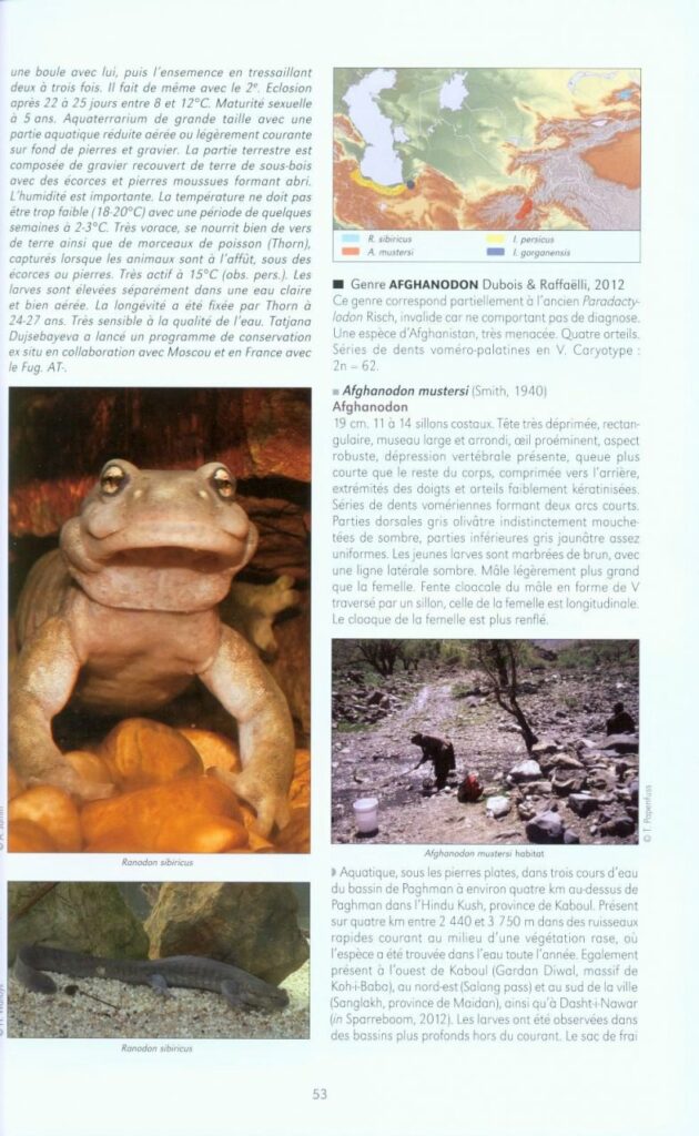 Les Urodèles du Monde - Salamanderland