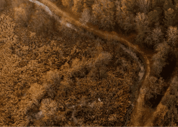 Nuclear Regulated Asset Base (RAB) Charges – Upcoming Change in the UK ...