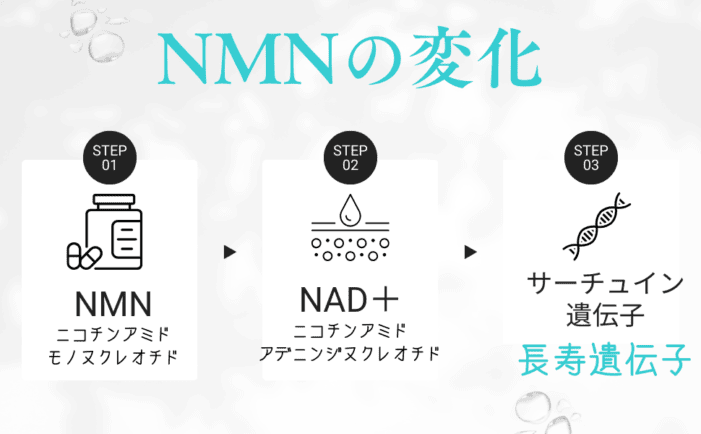 【2024年最新】NMNサプリ厨が徹底比較15選★注意点まとめ★｜KenkouHacker