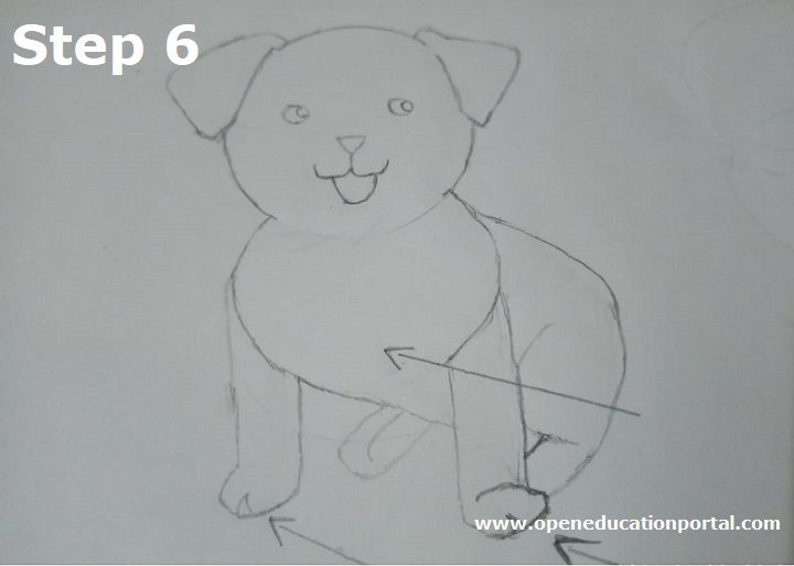 Step by Step How to Draw a Dog | Side View, Puppy, Realistic Dogs