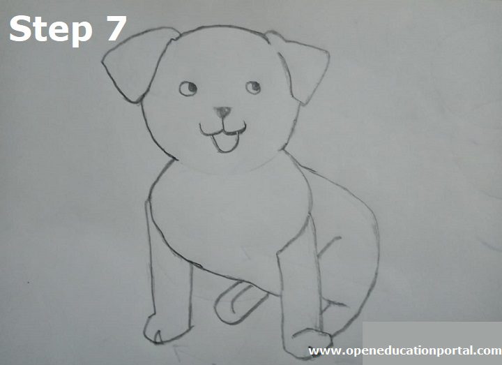 Step by Step How to Draw a Dog | Side View, Puppy, Realistic Dogs