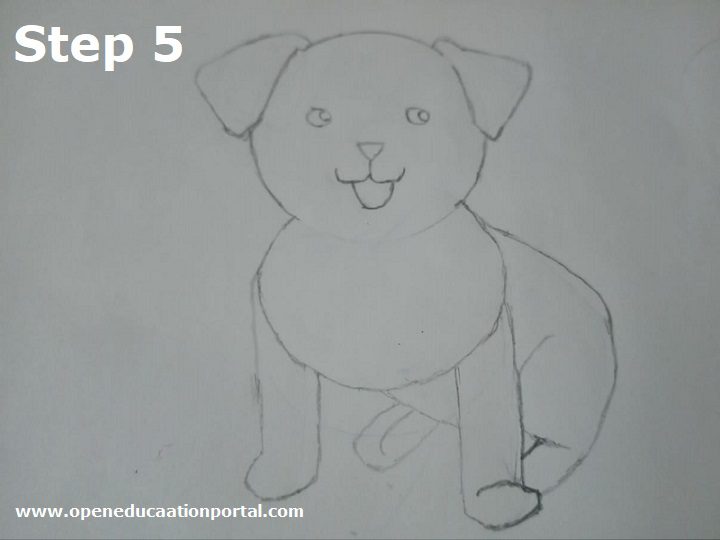 Step by Step How to Draw a Dog | Side View, Puppy, Realistic Dogs
