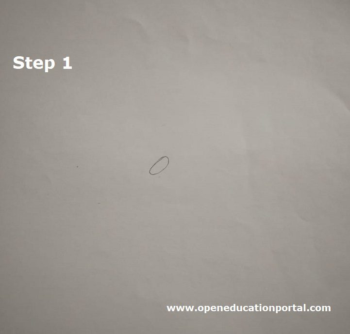 How to Draw Stomach | Step By Step Easy Guide to Draw Kidney