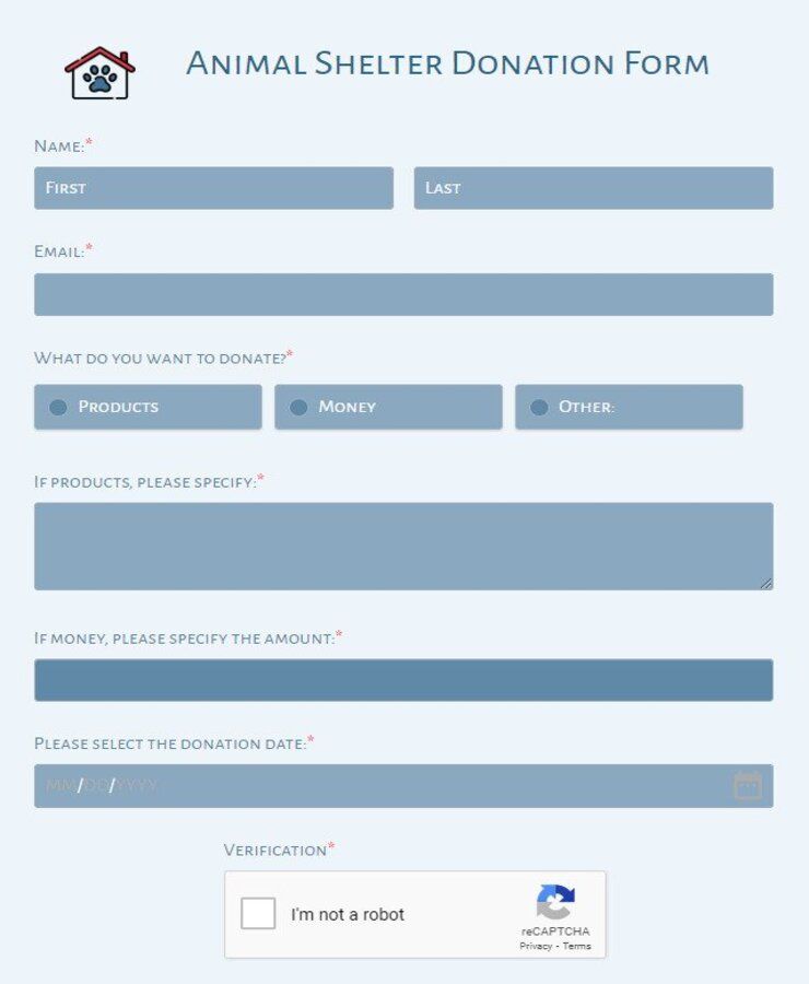 35+ Free Donation Forms & Examples - 123FormBuilder