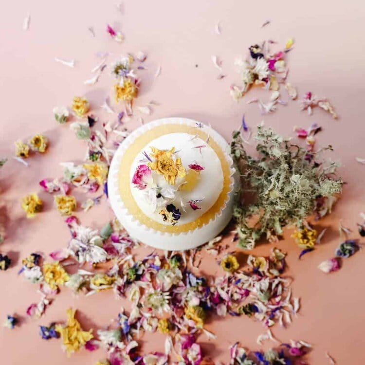 13 Ultra Delicious & Easy Ways to Use Edible Flowers Everyday - Botany ...